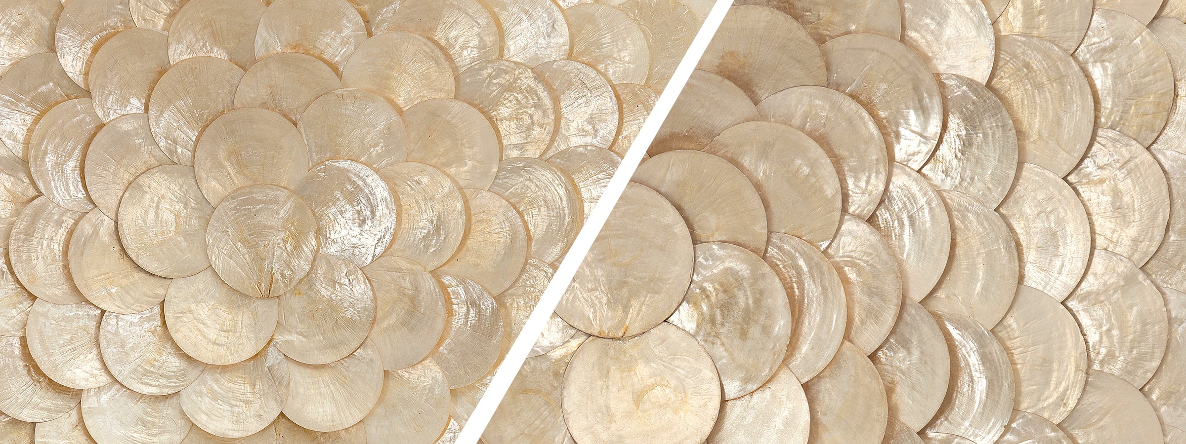 Luxury Circular Seashell Art for Modern Coastal Homes